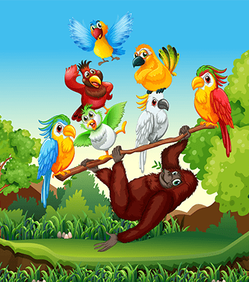 Zogu I Vogël Këngëtar Përralla Dhe Fëmijët